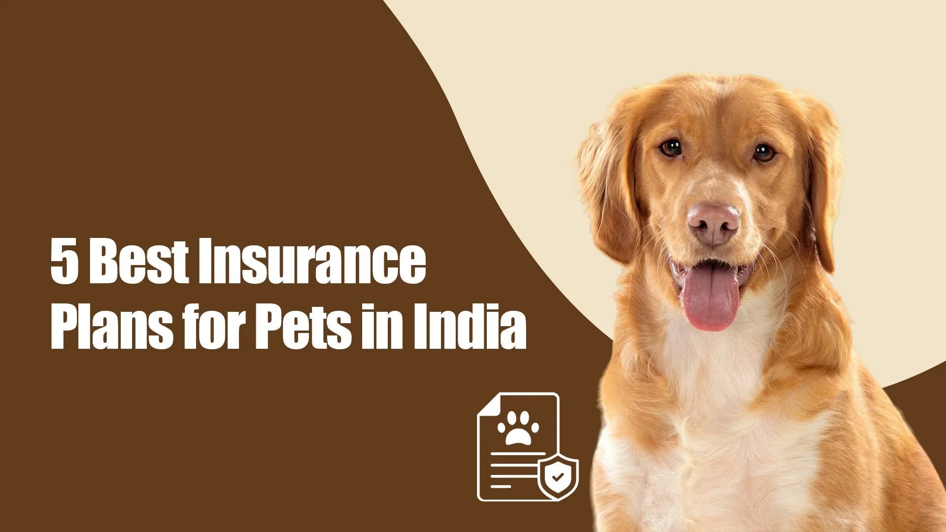 5 Best Insurance Plans for Pets in India (Pros & Cons) | Zigly