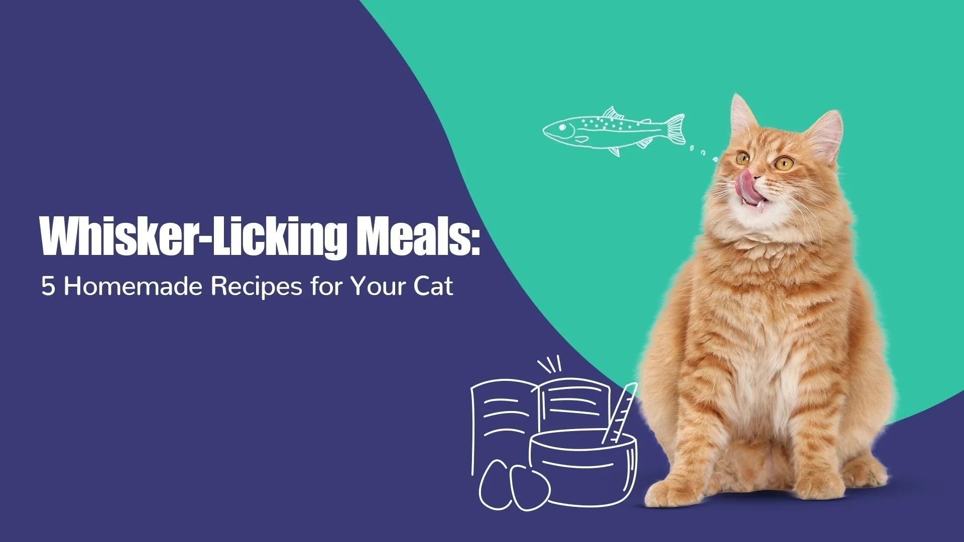 5 Nutritious Homemade Cat Food Recipes Your Feline Will Love | Zigly