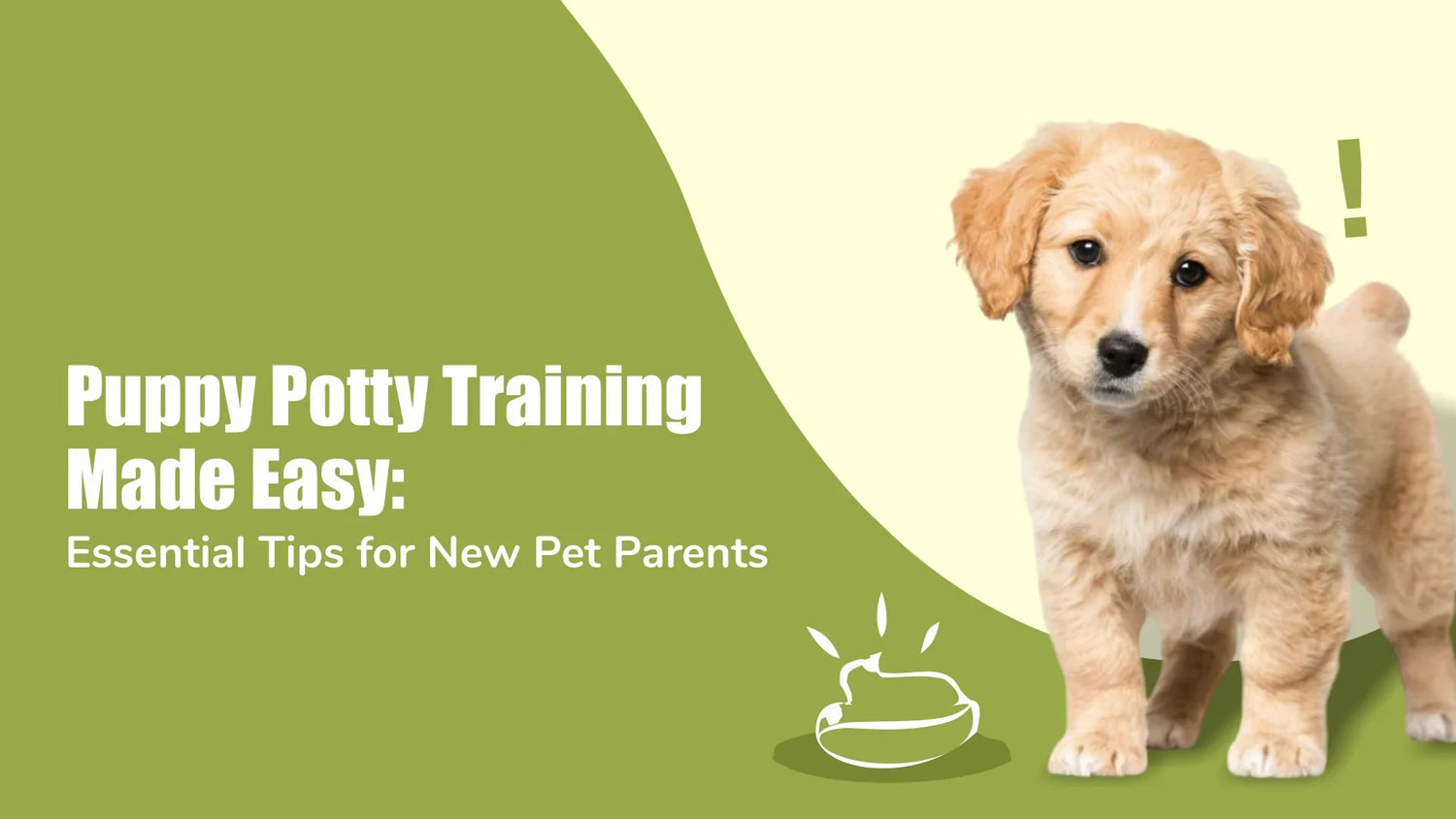 Puppy Potty Training Made Easy: Essential Tips for New Pet Parents | Zigly