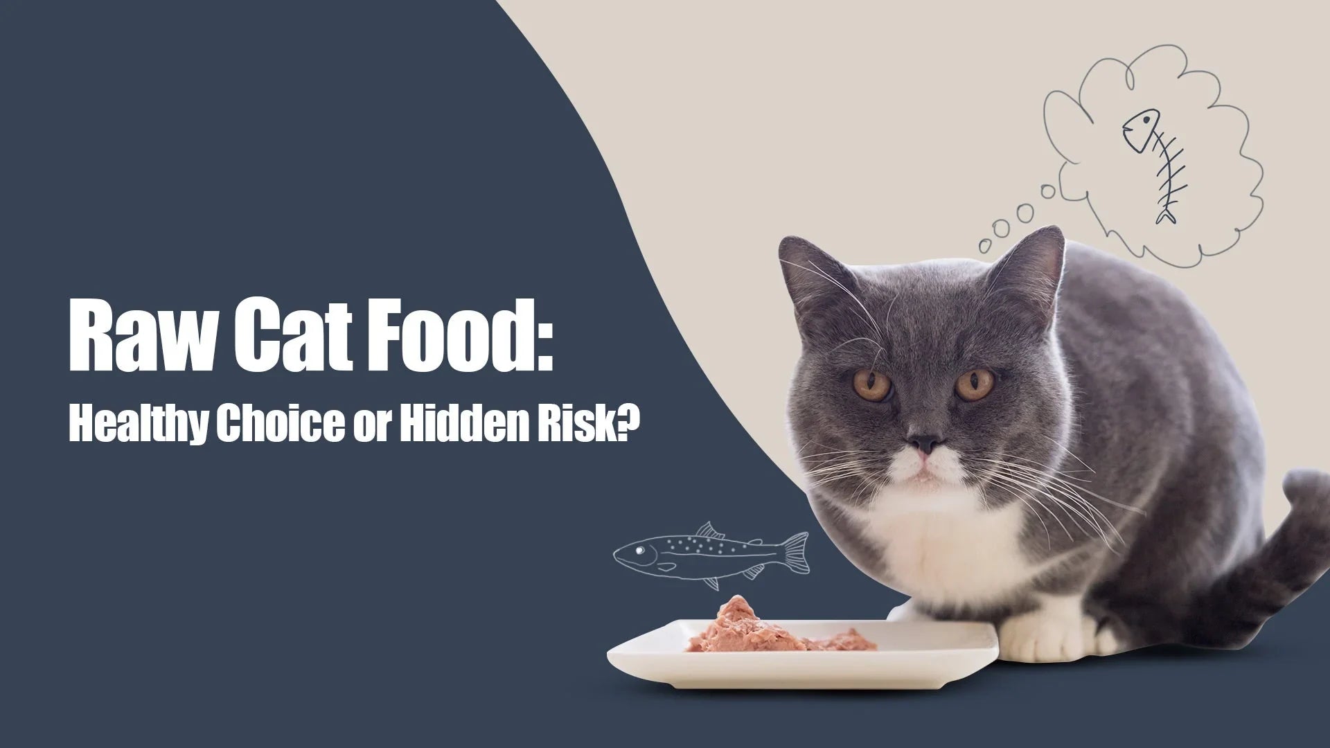 Raw Cat Food: A Healthy Trend or Risky Choice? | Zigly