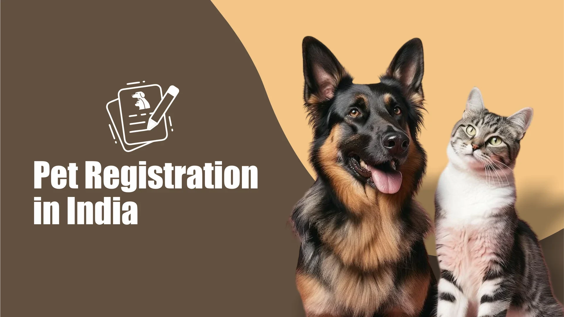 Pet Registration in India: Steps & Cost Guide 2025 | Zigly