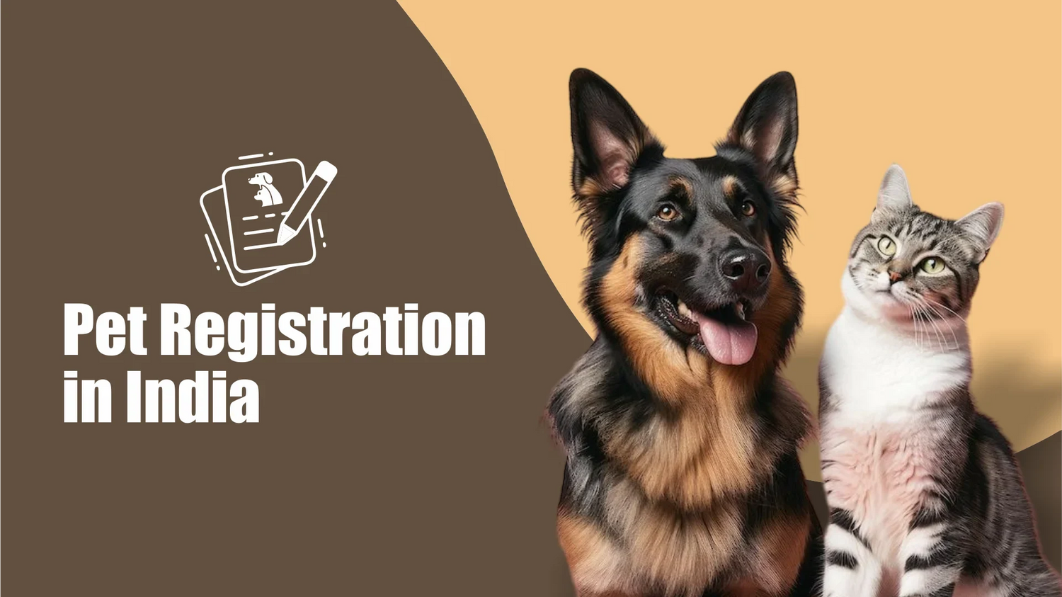 Pet Registration in India: Steps & Cost Guide 2025 | Zigly