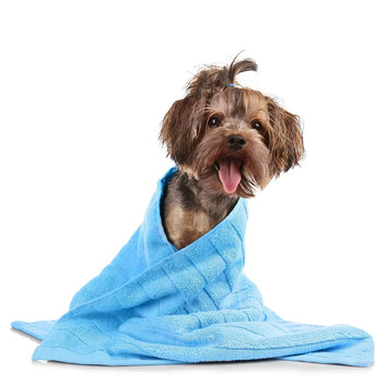 New Pet Parent Checklist & Essential Guide | Zigly