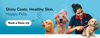 New Pet Parent Checklist & Essential Guide | Zigly