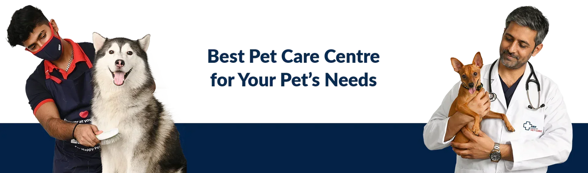 Zigly Store Locator | Find Nearest Zigly Pet Stores Near You