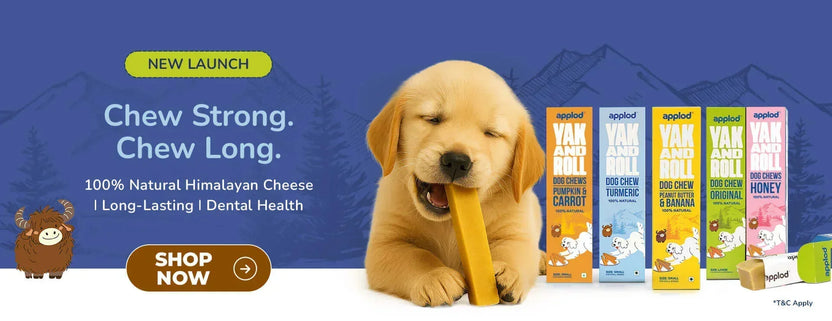Trusted Online Pet Store for Dogs & Cats: Food, Grooming & Vet Care | Zigly
