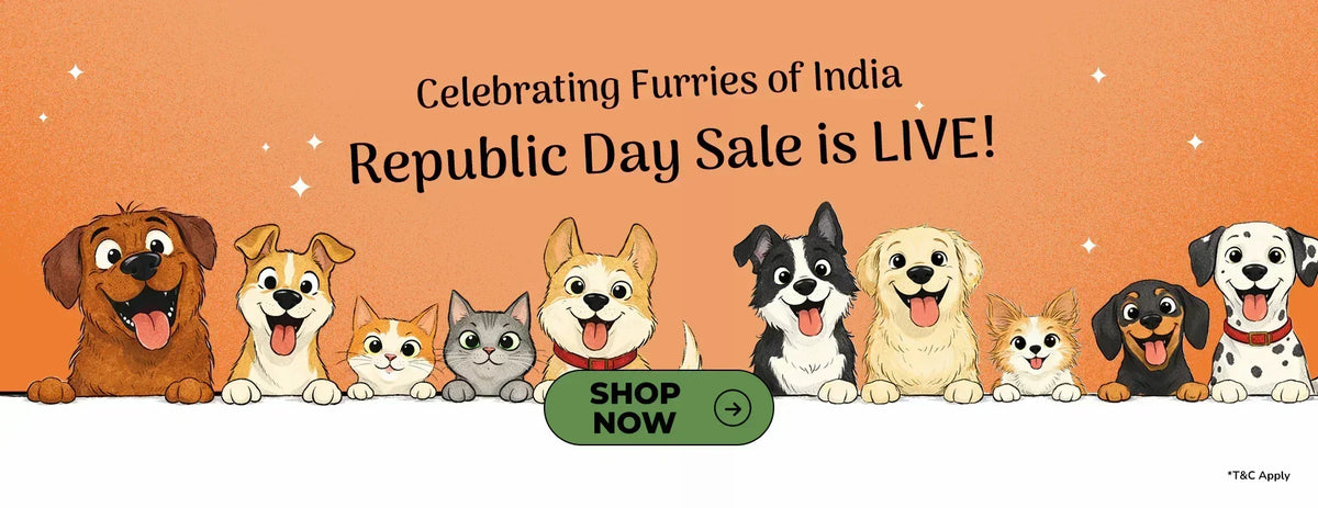 Trusted Online Pet Store | Premium Pet Food, Toys & Supplies | Zigly