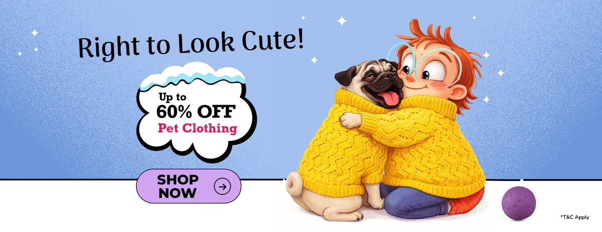 Trusted Online Pet Store | Premium Pet Food, Toys & Supplies | Zigly