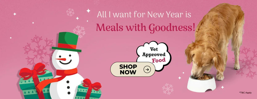 Trusted Online Pet Store | Premium Pet Food, Toys & Supplies | Zigly
