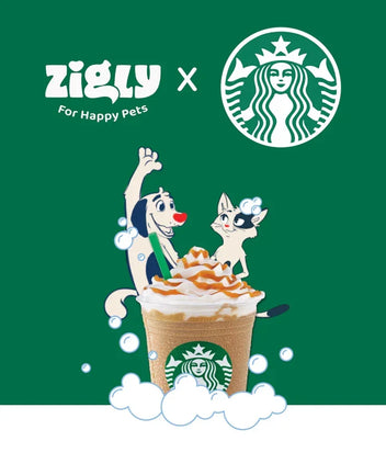 About Us | Zigly