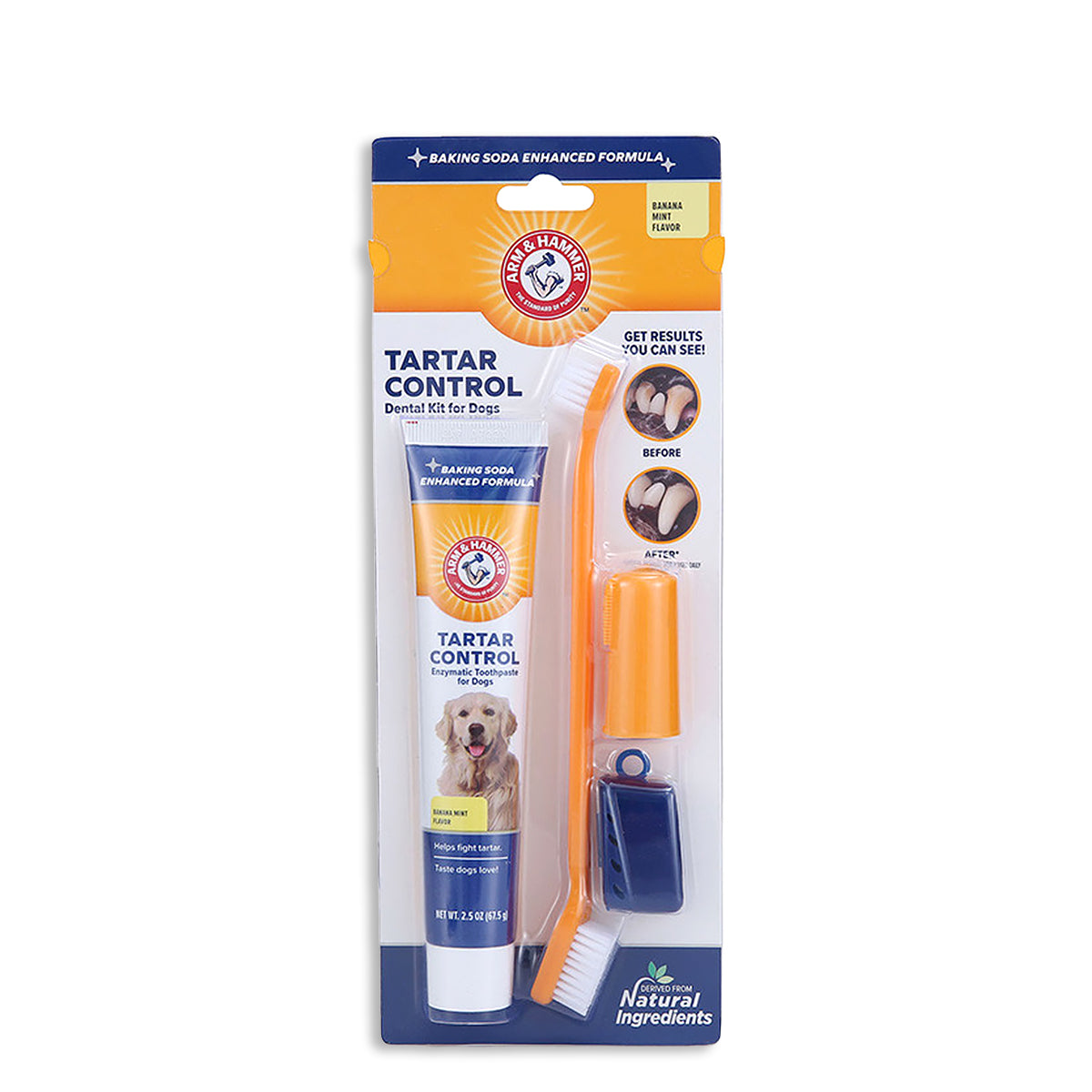 Arm & Hammer Dental Kit-Tartar Control Banana for Dogs | Zigly