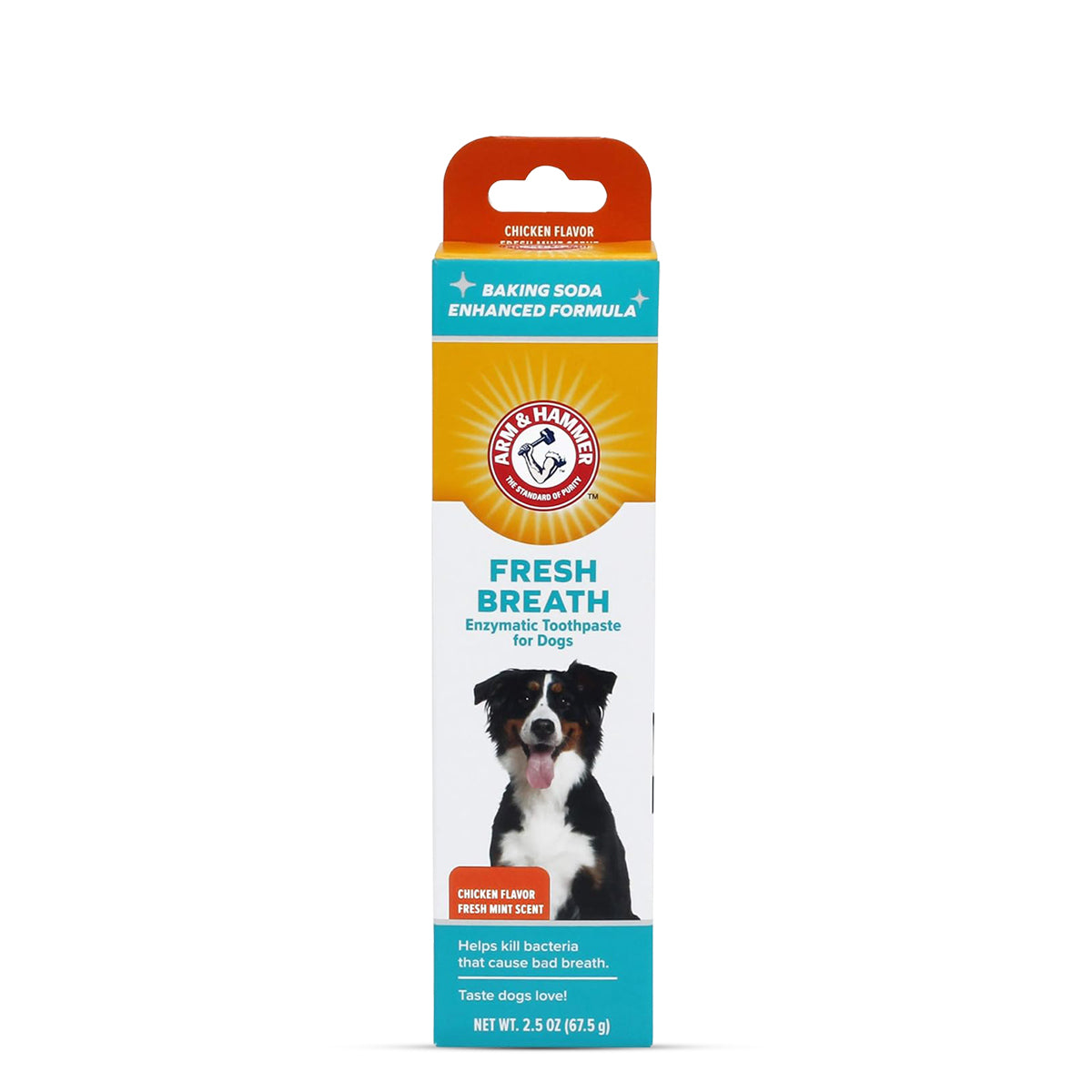 Arm & Hammer Toothpaste For Dogs - Chicken | Zigly