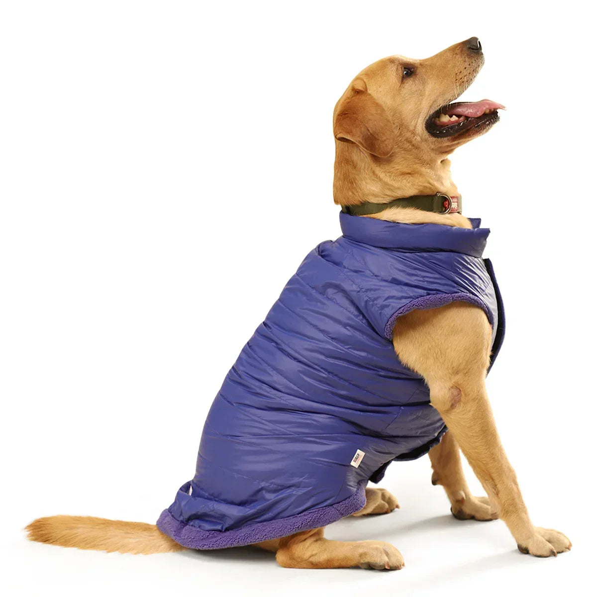 ZL Warm & Water-Resistant Reversible Celestial Puffer Blue Dog Jacket ...
