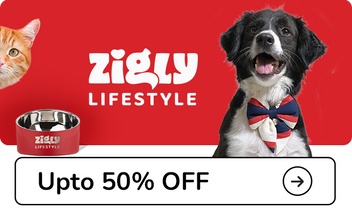 Indie Dogs: A Complete Guide to the Indian Pariah Dog Breed | Zigly